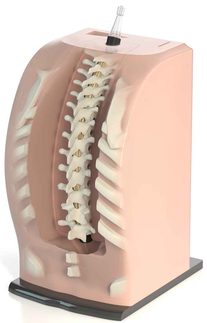 Simulador Neuraxial Torácico “Thoraxis” – Medical Factory